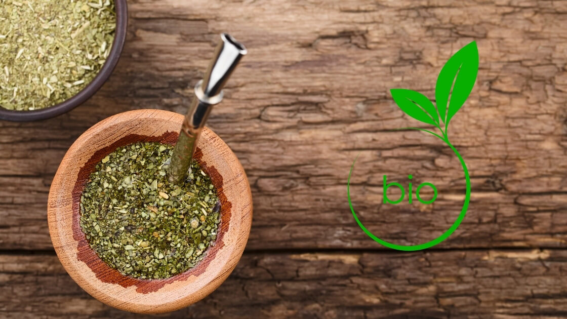 Yerba Maté Bio : Comment et Pourquoi faut-il préférer du Maté organique